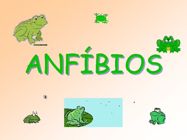 ANFBIOS REPRESENTANTES DOS ANFBIOS CARACTERSTICAS GERAIS Origem do