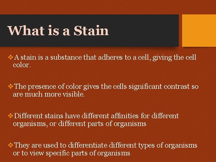 What is a Stain v A stain is