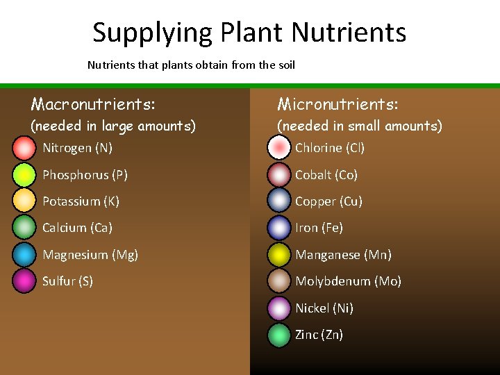 Surface Chemistry Topics 1 2 3 4 Soil