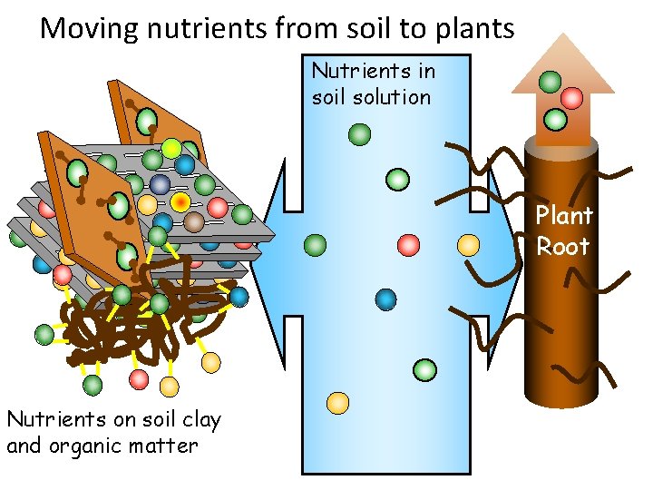 Surface Chemistry Topics 1 2 3 4 Soil
