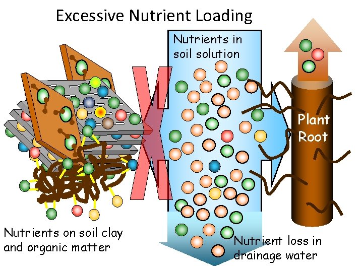 Surface Chemistry Topics 1 2 3 4 Soil