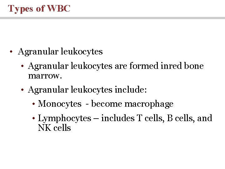 Anatomy Physiology SIXTH EDITION Lecture 19 Blood Lecturer