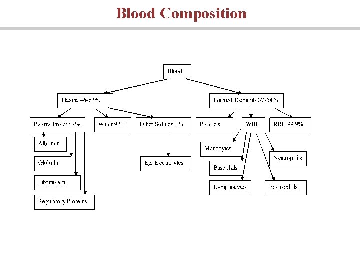 Anatomy Physiology SIXTH EDITION Lecture 19 Blood Lecturer