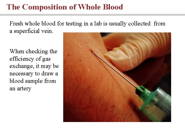 Anatomy Physiology SIXTH EDITION Lecture 19 Blood Lecturer