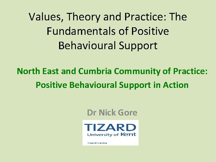 Values Theory and Practice The Fundamentals of Positive