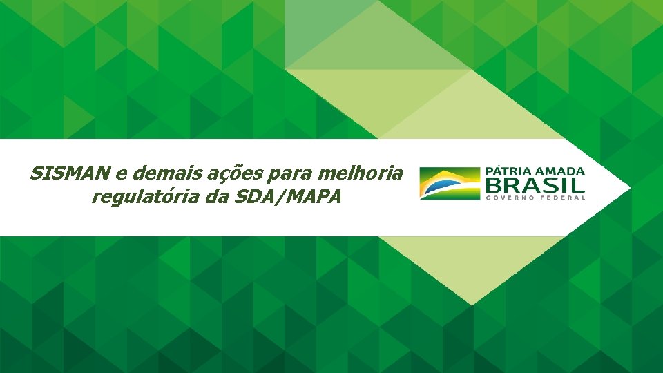 SISMAN e demais aes para melhoria regulatria da