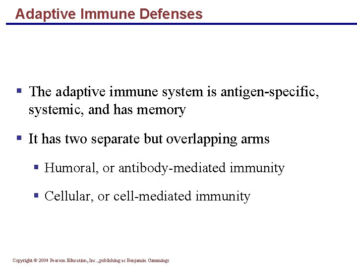 Power Point Lecture Slides prepared by Vince Austin