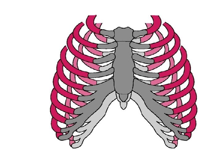 Physiological changes in pregnancy Dr Areefa Al Bahri