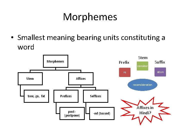 Morphology CS 626 449 By Mugdha Bapat Under