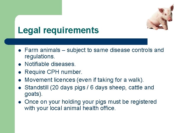 Pig Keeping Sarah Hughes Scarsdale Veterinary Group Overview