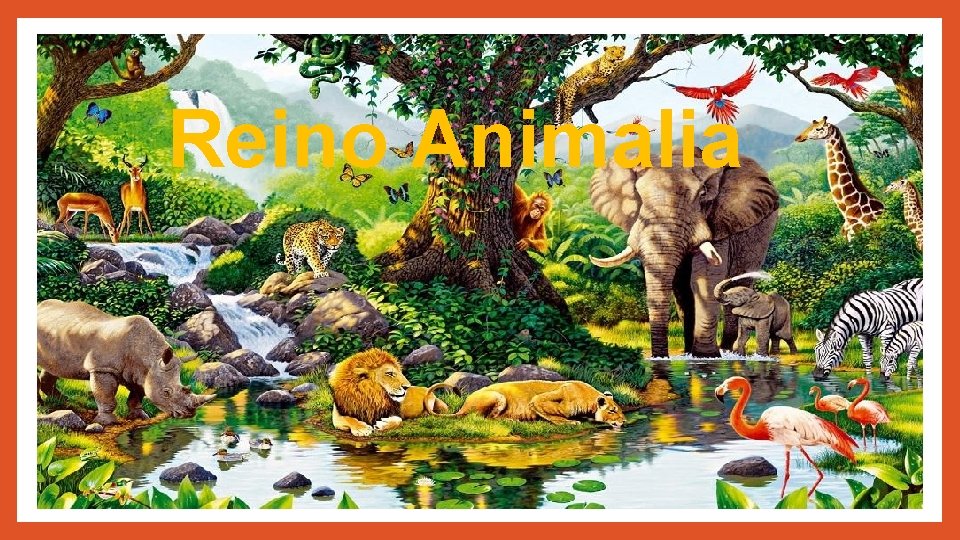 Reino Animalia Caractersticas gerais Eucariontes Hetertrofos ...