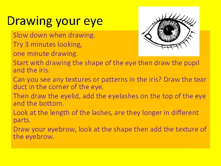 Lesson 3 Using drawing to explore facial features