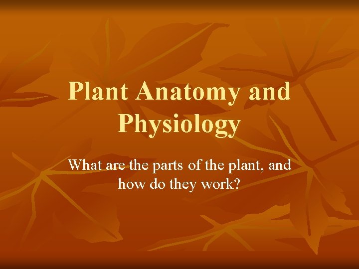 Plant Anatomy and Physiology What are the parts