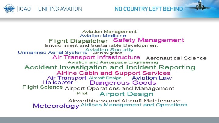 Next Generation of Aviation Professionals NGAP Programme Attracting