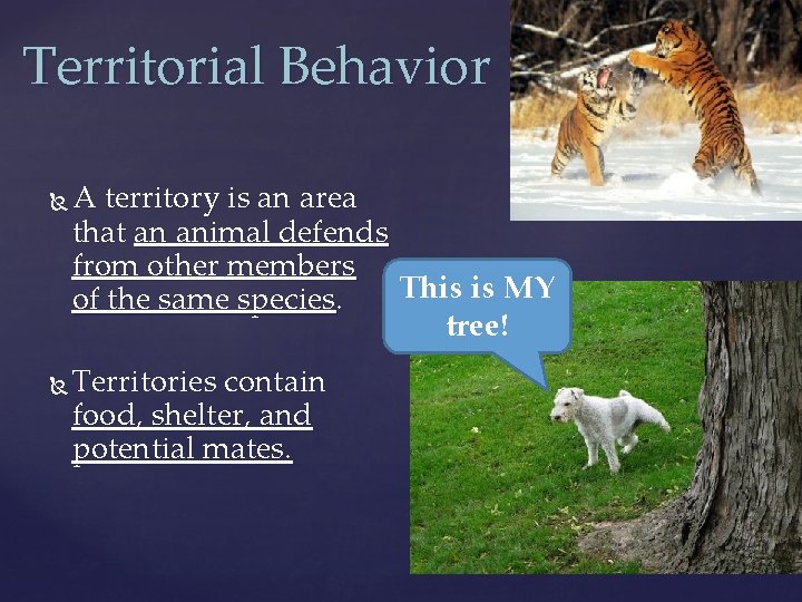 Behavioral Interactions Unit 5 Lesson 3 Notes The