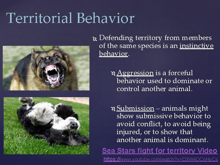 Behavioral Interactions Unit 5 Lesson 3 Notes The