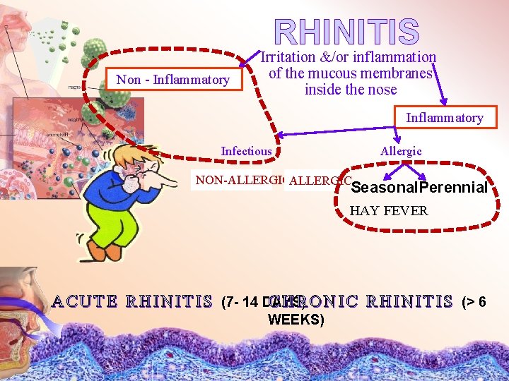 TREATMENT OF RHINITIS COUGH IL Os Classify types