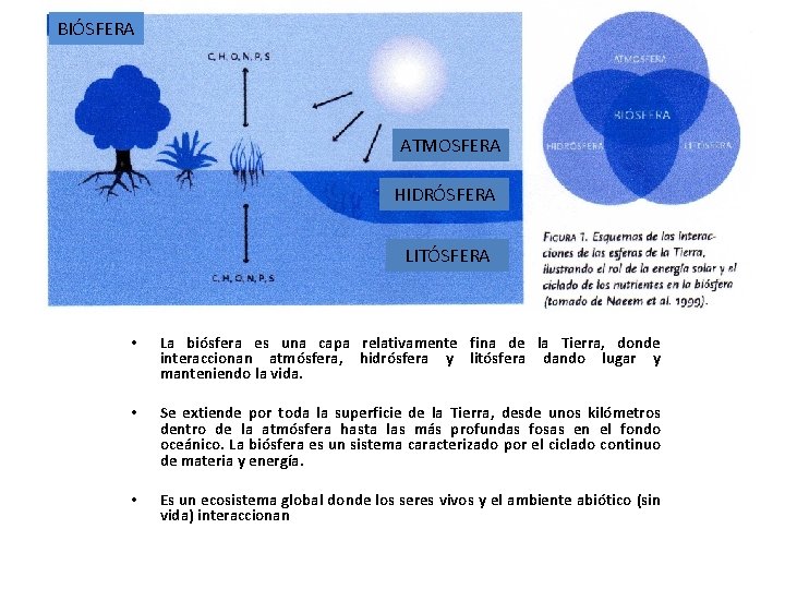 BISFERA Nuestro planeta Tierra cuenta con distintas capas