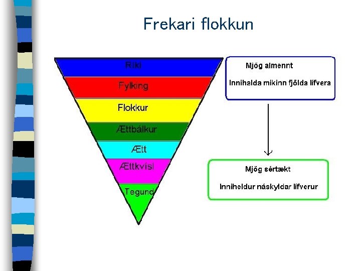 Flokkun lfheimsins 6 Kafli Hva er flokkun lfvera