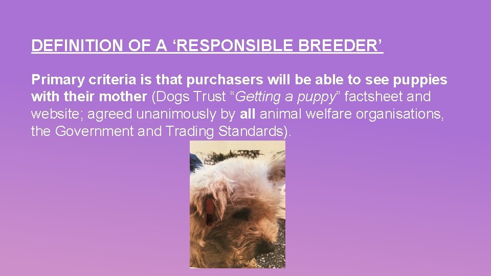 WHY A BAN IS THE ONLY OPTION FOR