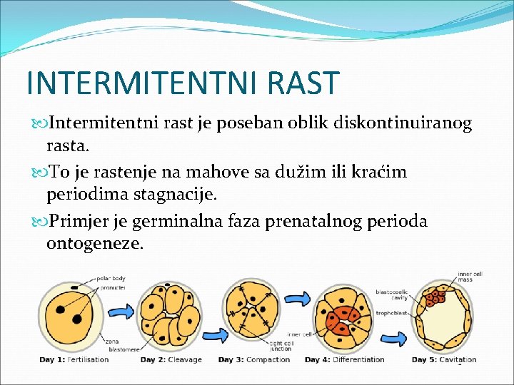 OBLICI I FAKTORI RASTA OBLICI RASTA Individualna promjenjivost