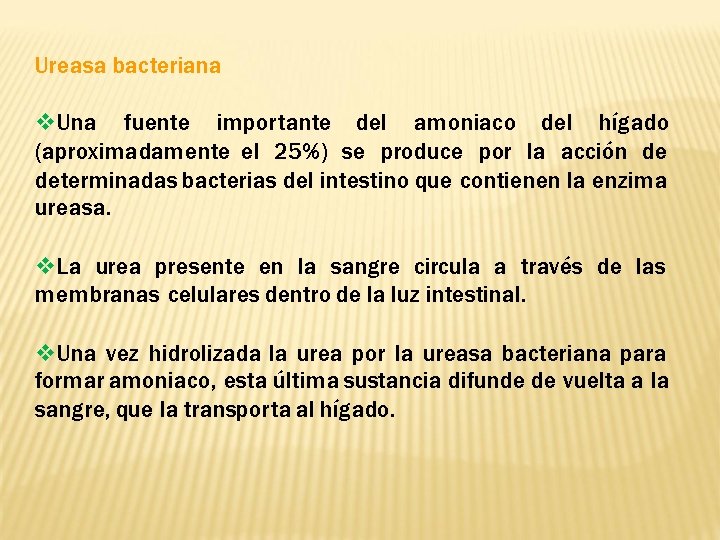 METABOLISMO DE PROTEINAS El hgado genera urea como