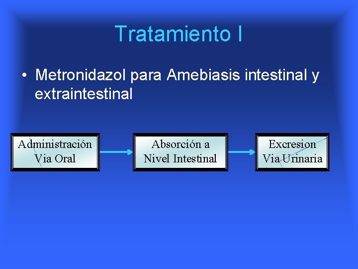 Gnero Entamoeba E histolytica Intestino Grueso y Otros
