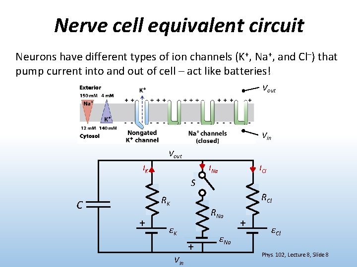 Phys 102 Lecture 8 Circuit analysis and Kirchhoffs
