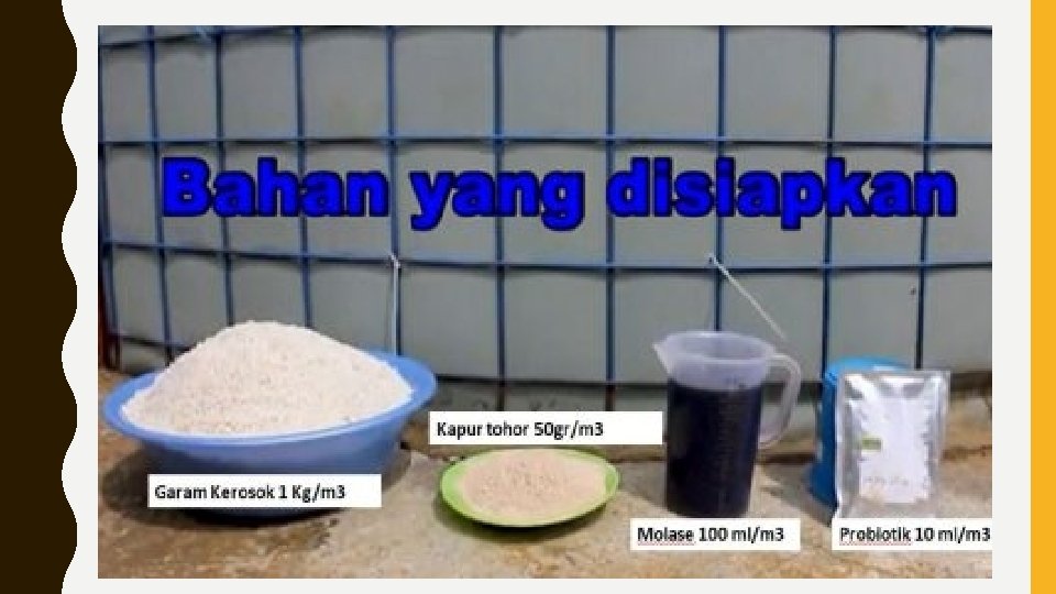 SOSIALISASI PEMANFAATAN TEKNOLOGI BIOFLOK UNTUK BUDIDAYA IKAN NILA