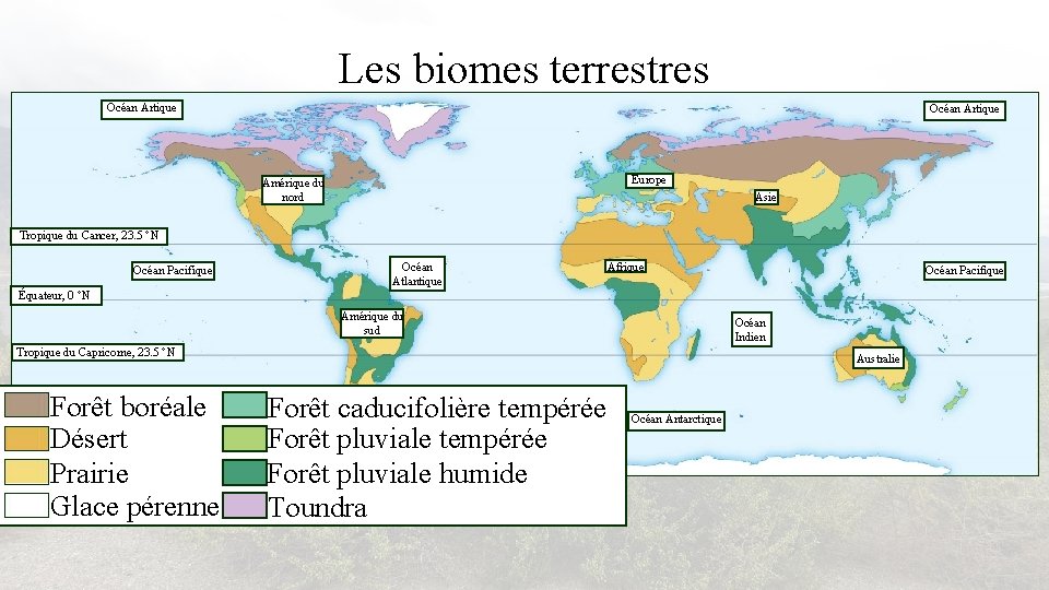 Les biomes Powerpoint 1 1 La biosphre est