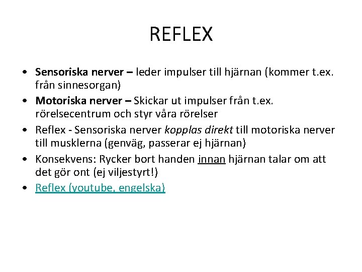 Nervsystemet styr din kropp Sid 272 303 NERVSYSTEMET