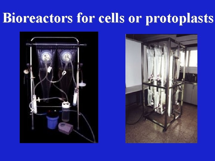 Techniques of Micropropagation Chapter 18 Systems used to