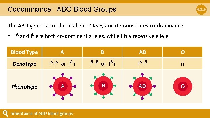 Topic 3 4 INHERITANCE Topic Outline AUDIO Mendelian