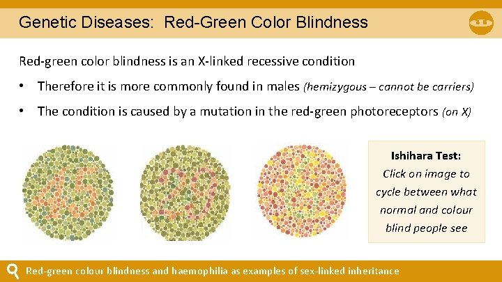 Red Green Color Blindness Inheritance Pattern - Infoupdate Wallpaper Images