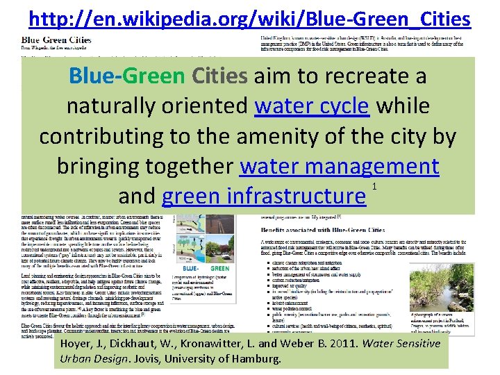 Flood Resilient Cities the BlueGreen Advantage Colin Thorne