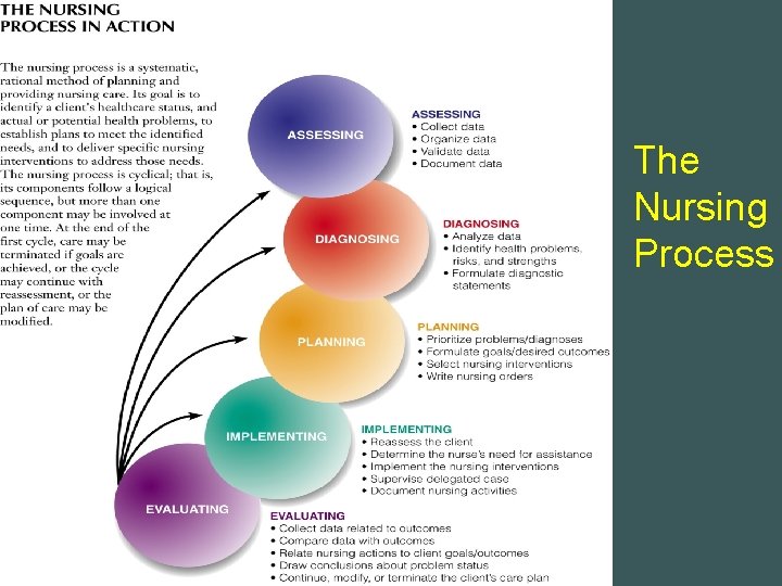 The Nursing Process NUR 403 Foundations of Nursing