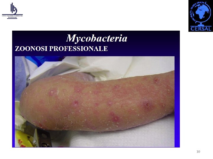 PATOLOGIE EMERGENTI IN PESCI E MOLLUSCHI Mario Latini