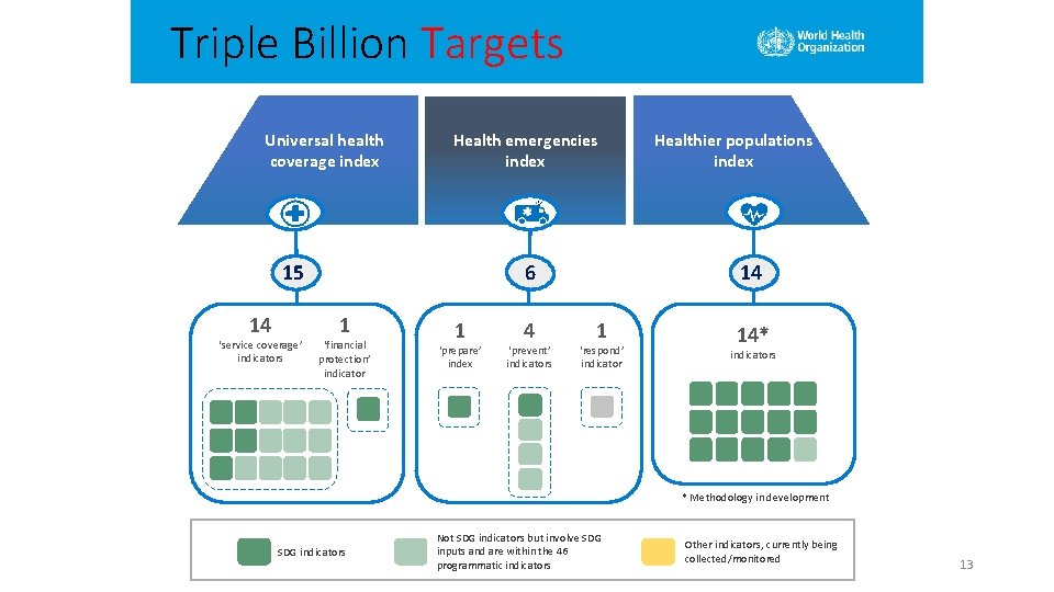 WHOs New 5 Year Strategy The Thirteenth General