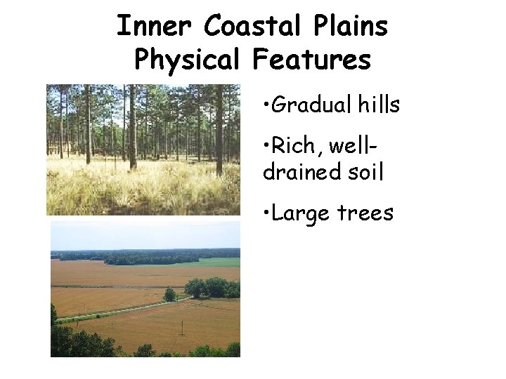 Lets Travel Through the Regions of South Carolina