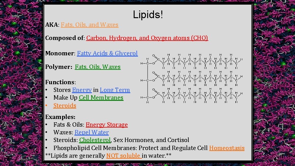Macromolecules Carbohydrates Lipids Proteins Nucleic Acids Building blocks
