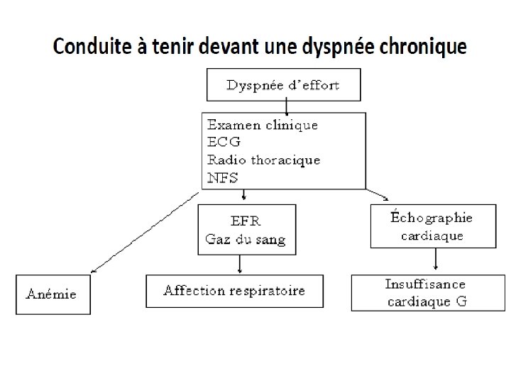 Conduite tenir devant une dyspne Dr Namoune HMRUC