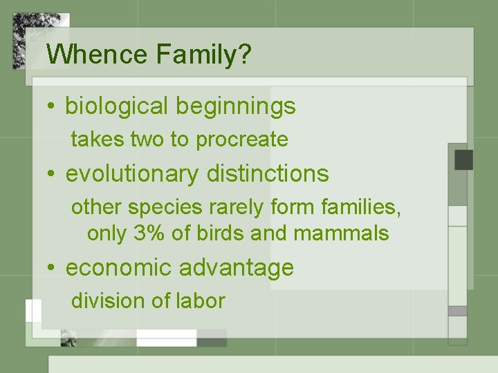 Family Life prepared by Josh Thompson Ph D
