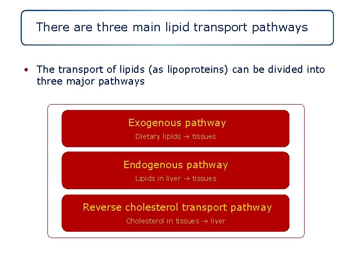 Disorders of Lipid Metabolism Dr Haidar F AlRubaye