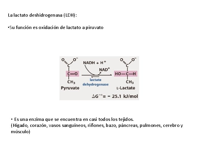 2 ESTRUCTURA Y PROPIEDADES DE LAS PROTENAS PURIFICACIN