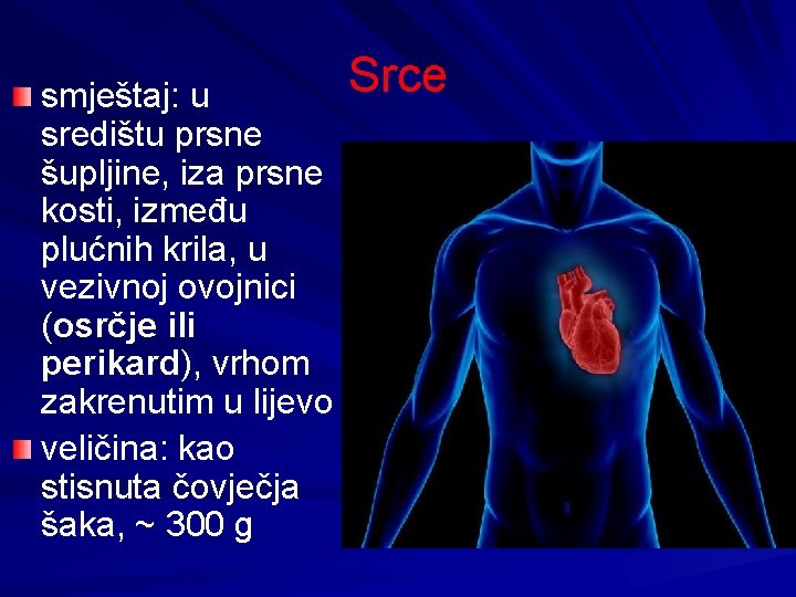 CIRKULACIJA TJELESNIH TENOSTI Cirkulatorni sistem ine srce i