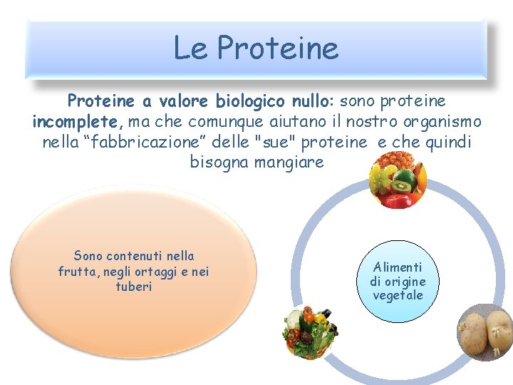 Le Proteine Scuola Media Statale Balzico Classe II