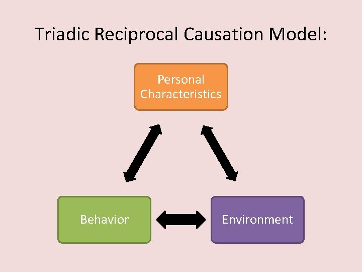 Chapter 9 Social Cognitive Theory Created by Leslie