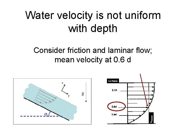 River morphology and process class 1 consider physics