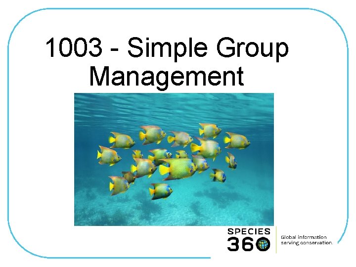 1003 Simple Group Management What is a Group