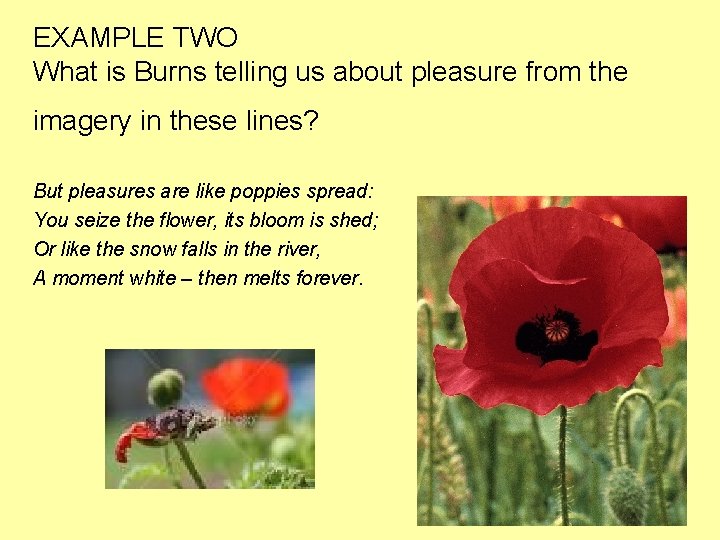 Imagery Questions Use the just as so too